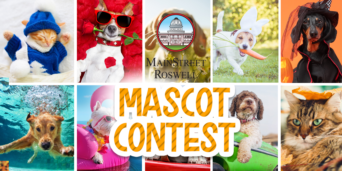 Thanks for your donation and vote! – MainStreet Roswell